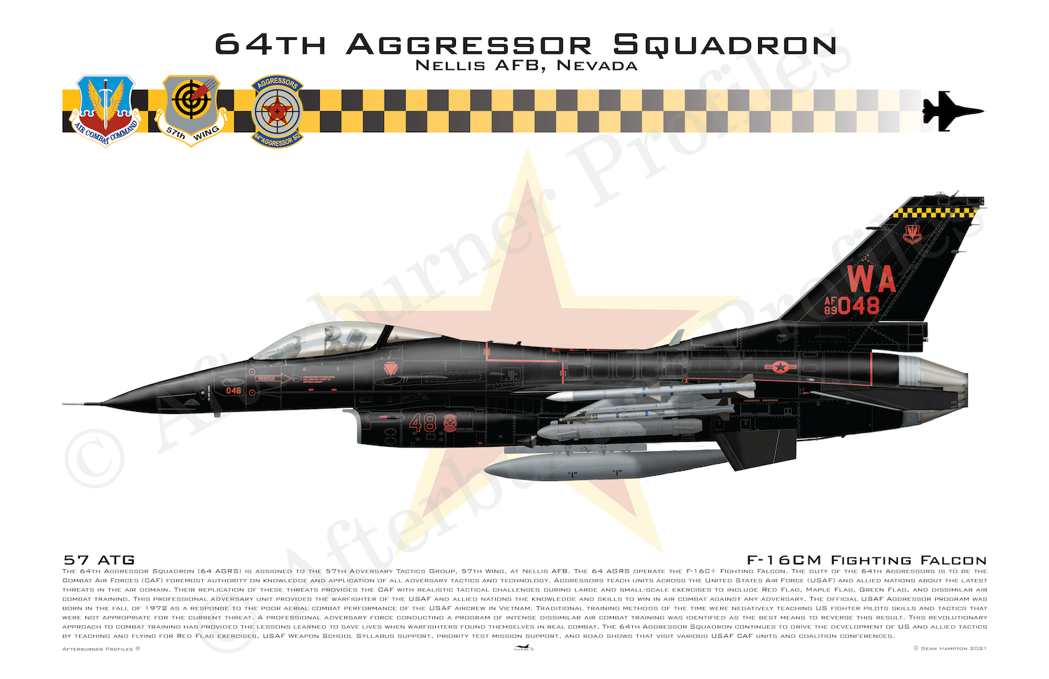 64 AGRS F-16CM Wraith | Afterburner Profiles