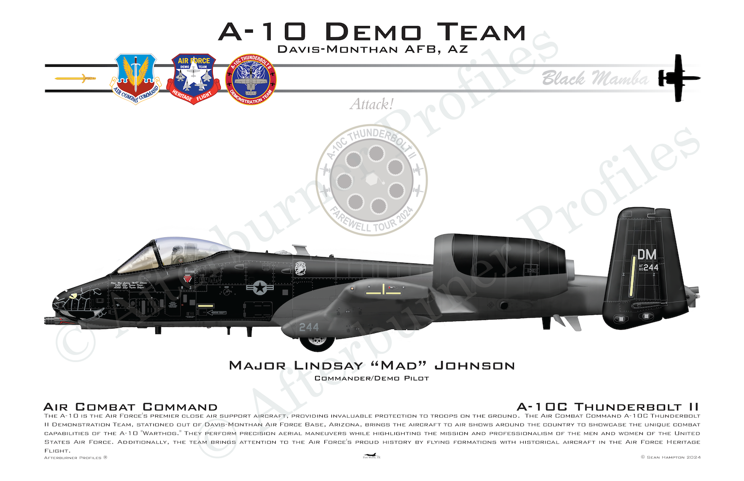 ACC A-10 Demo Team MAD Black Mamba Farewell Tour | Afterburner Profiles